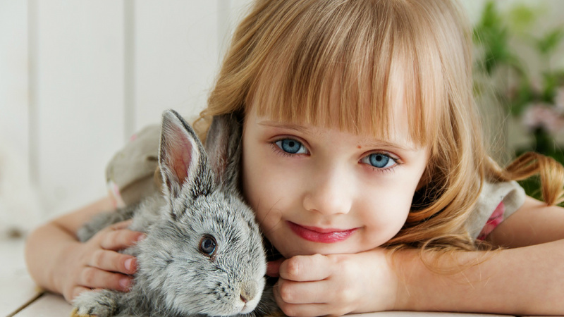 Bienfaits et importance des liens humains-animaux