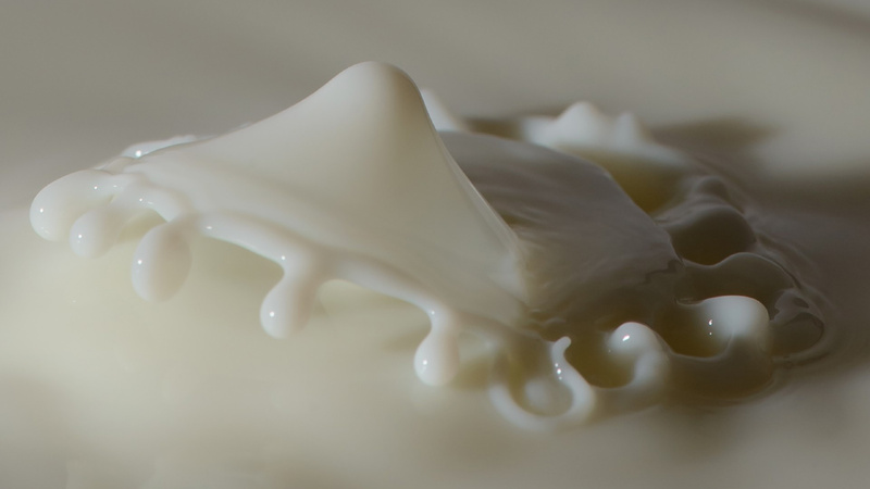 Molke und Buttermilch | vitagate