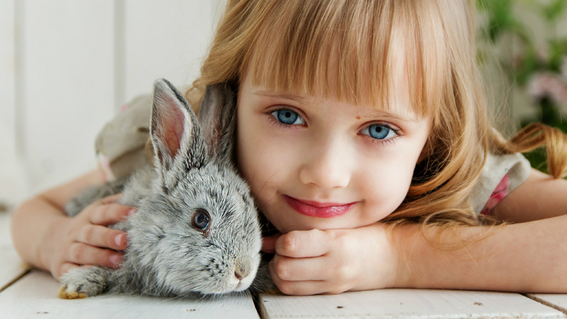 Über die Beziehung zwischen Mensch und Tier