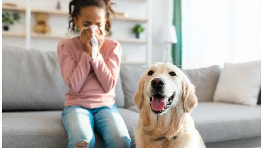 Hyperaktives Immunsystem