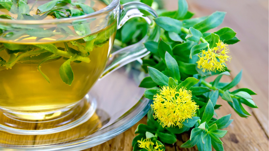 Adaptogene gegen Stress | vitagate