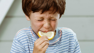 Wie unser Geschmacksinn funktioniert