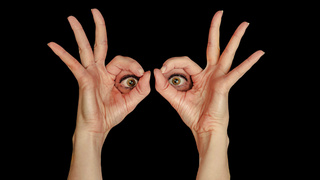 Wie funktioniert sehen?