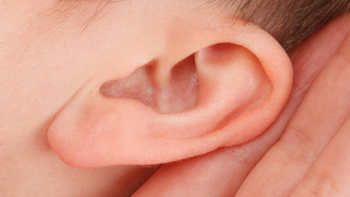 Test sur l'ouïe | vitagate